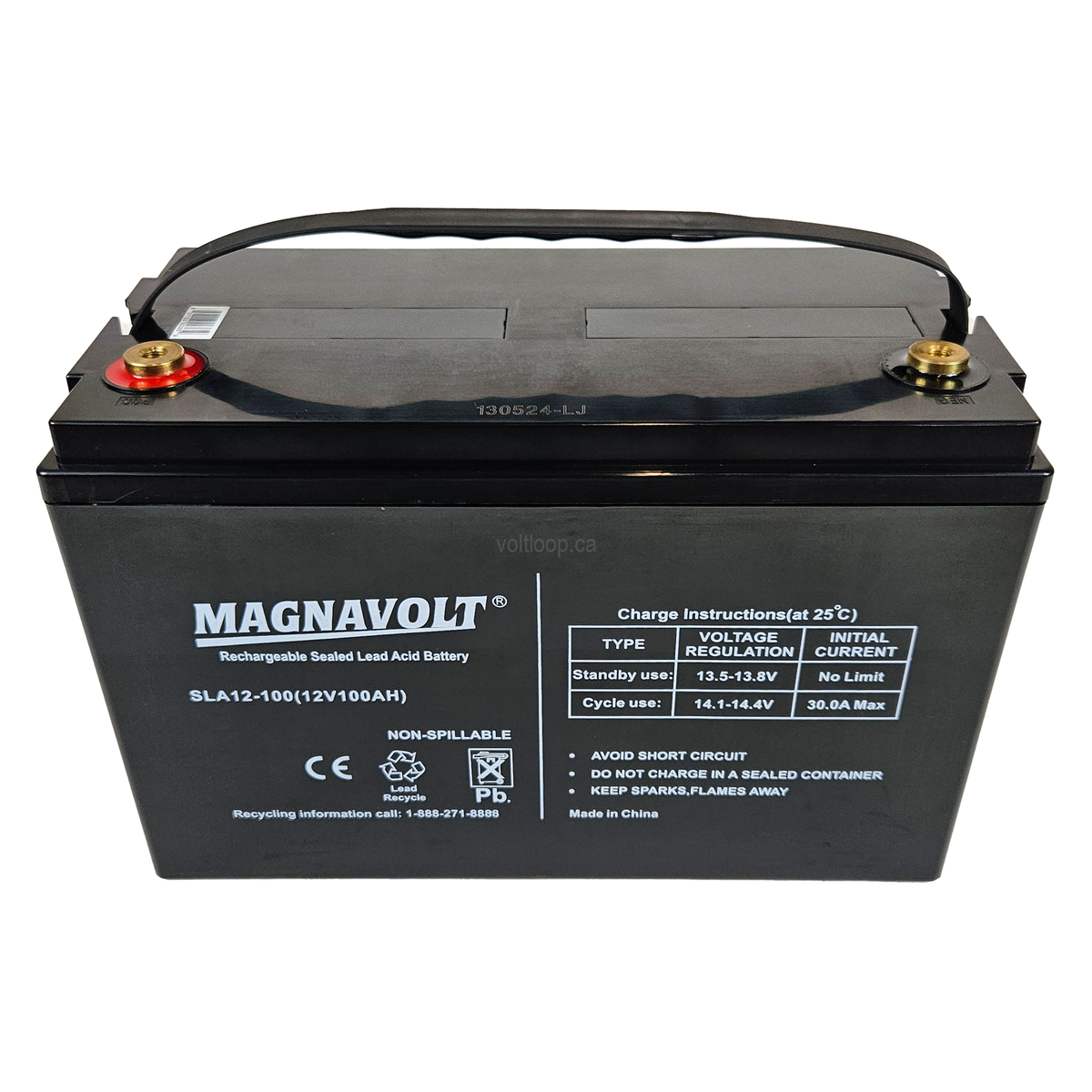 Magnavolt SLA12-100 12V 100 Ah Sealed Lead Acid Battery – Voltloop Battery Store