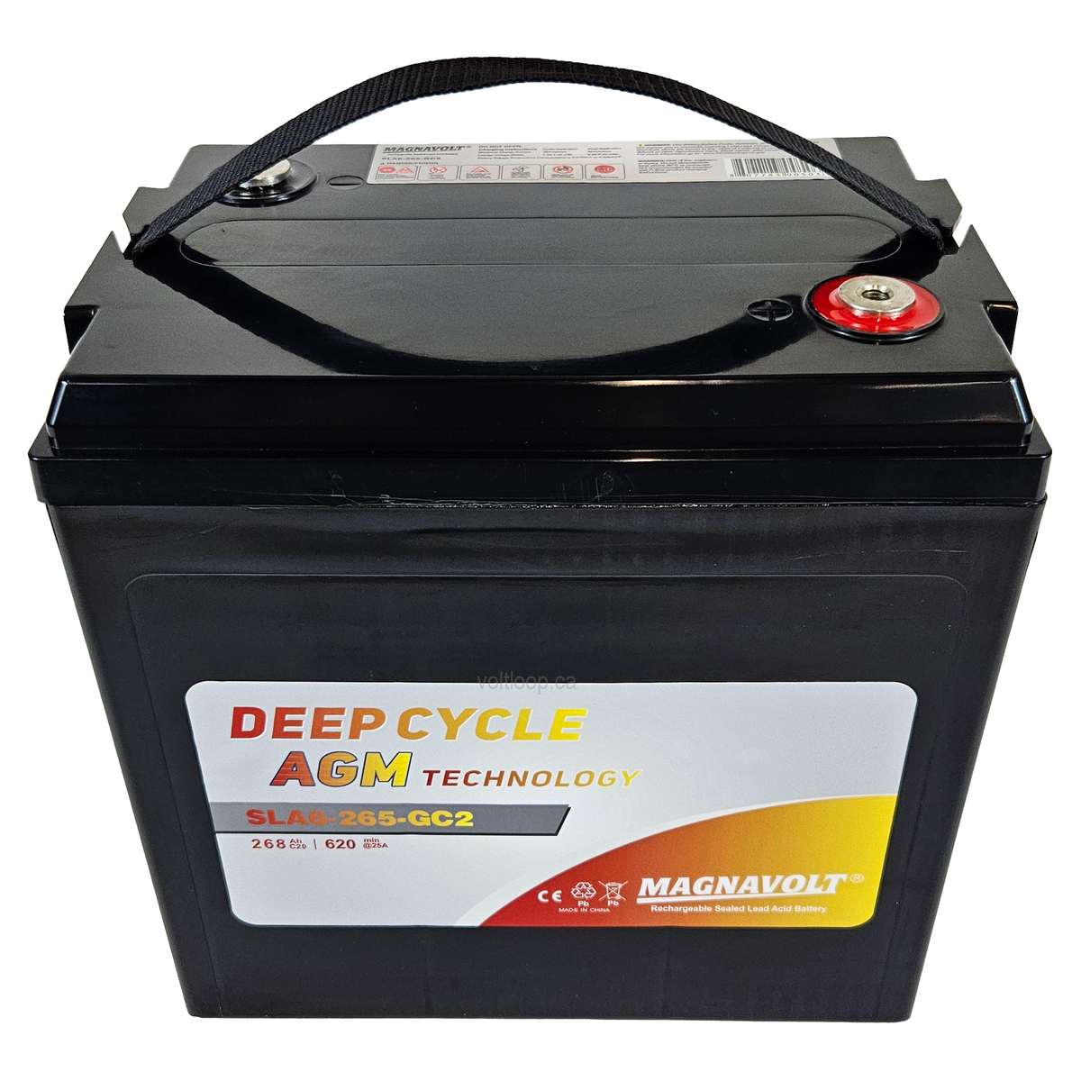 Magnavolt SLA6-265-GC2 6V 265 Ah SLA (AGM) Battery – Voltloop Battery Store
