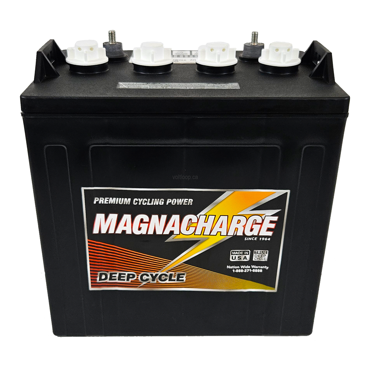 Magnacharge GC8-875 8V Group GC8 Deep Cycle Battery – Voltloop Canada