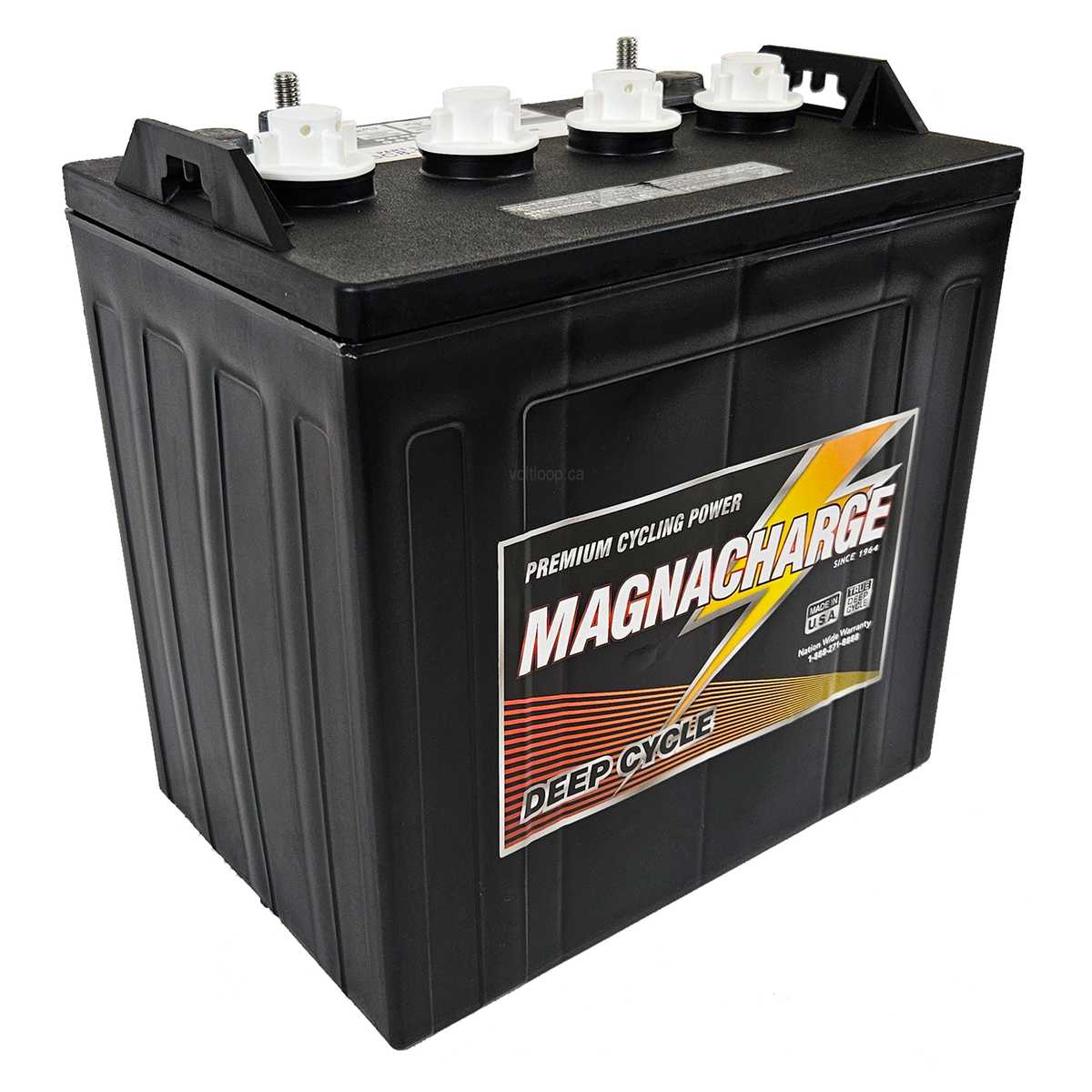 Magnacharge GC8-875 8V Group GC8 Deep Cycle Battery – Voltloop Canada