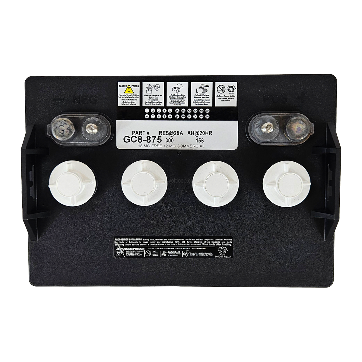 Magnacharge GC8-875 8V Group GC8 Deep Cycle Battery – Voltloop Canada