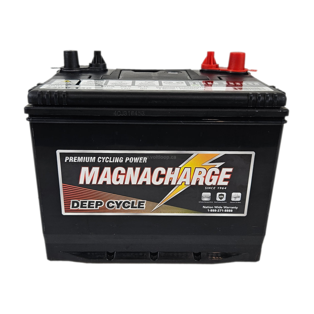 Magnacharge 24DC-130 12V Dual Purpose Group 24 Battery – Voltloop Canada