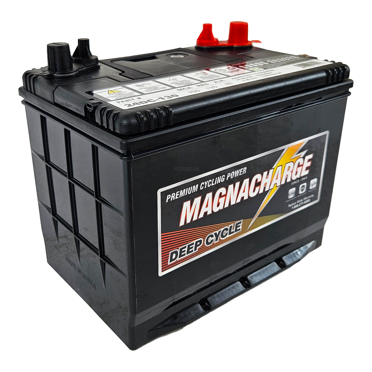 Magnacharge 24DC-130 12V Dual Purpose Group 24 Battery – Voltloop Canada