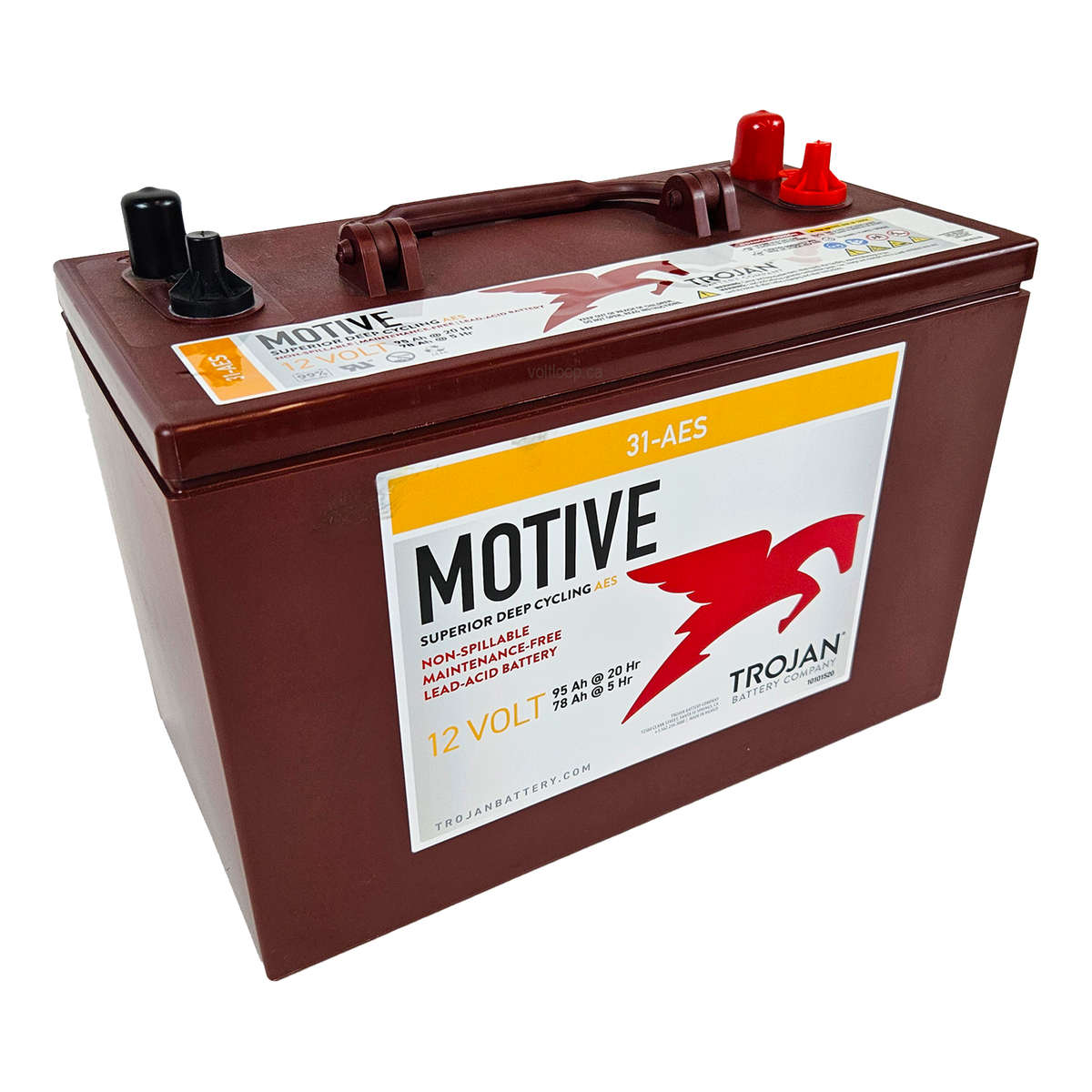Trojan 31-AES 12V Deep Cycle AGM Battery – Voltloop Canada