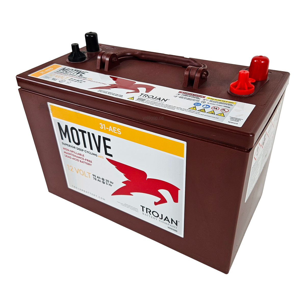 Trojan 31-AES 12V Deep Cycle AGM Battery – Voltloop Canada