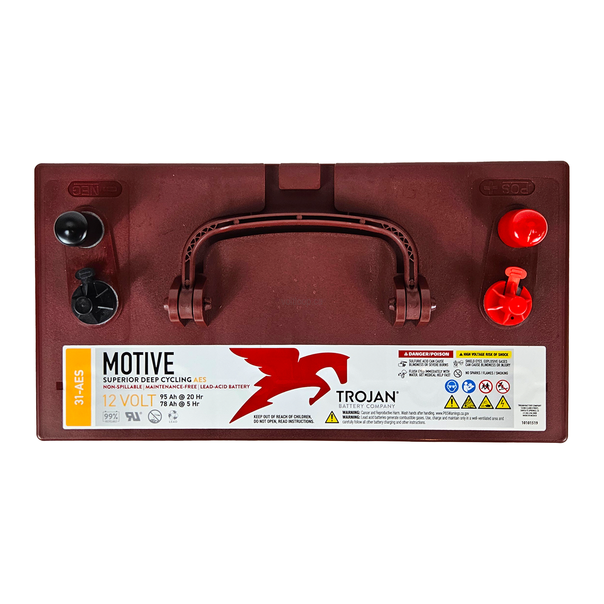 Trojan 31-AES 12V Deep Cycle AGM Battery – Voltloop Canada