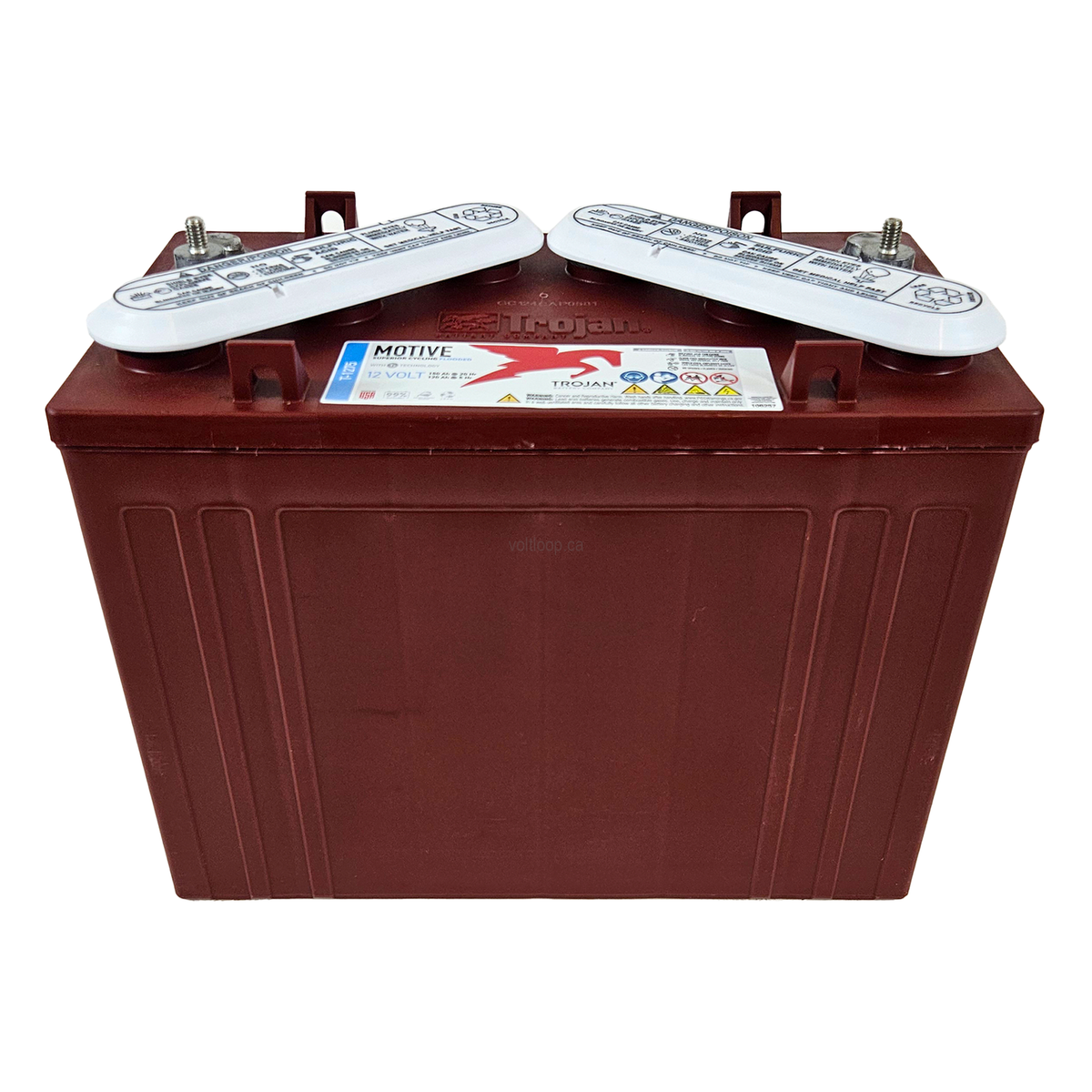 Trojan T-1275 12V Deep Cycle Flooded Group GC12 Battery – Voltloop ...