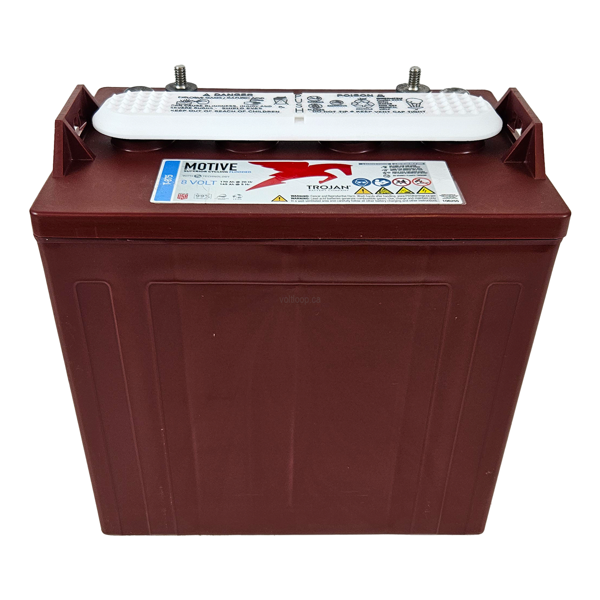 Trojan T-875 8V Deep Cycle Flooded Golf Cart Battery – Voltloop Battery ...