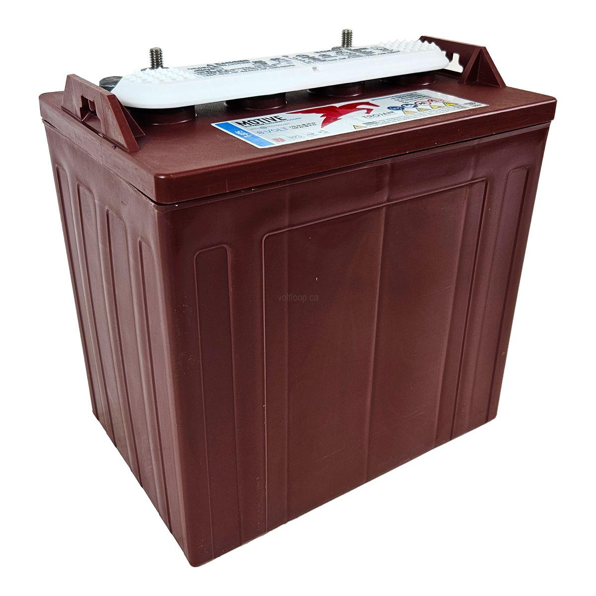 Trojan T-875 8V Deep Cycle Flooded Golf Cart Battery – Voltloop Battery ...