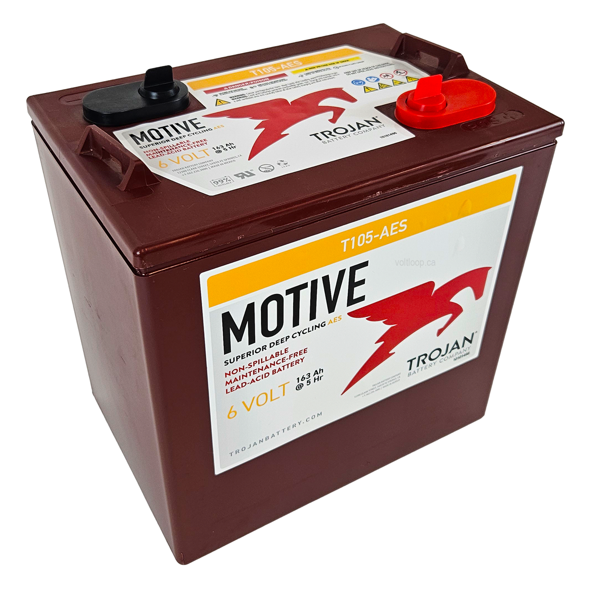 Trojan T105-AES 6V Deep Cycle AGM Battery – Voltloop Battery Store