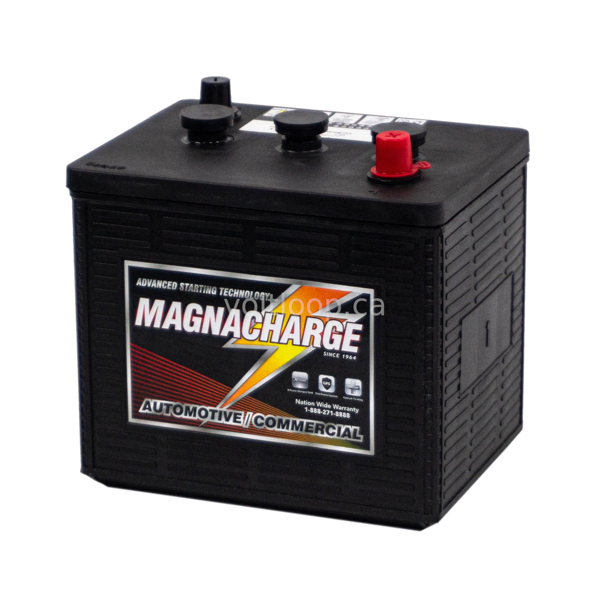 Magnacharge 1-725 6V Truck & Commercial Group 1 Battery – Voltloop ...