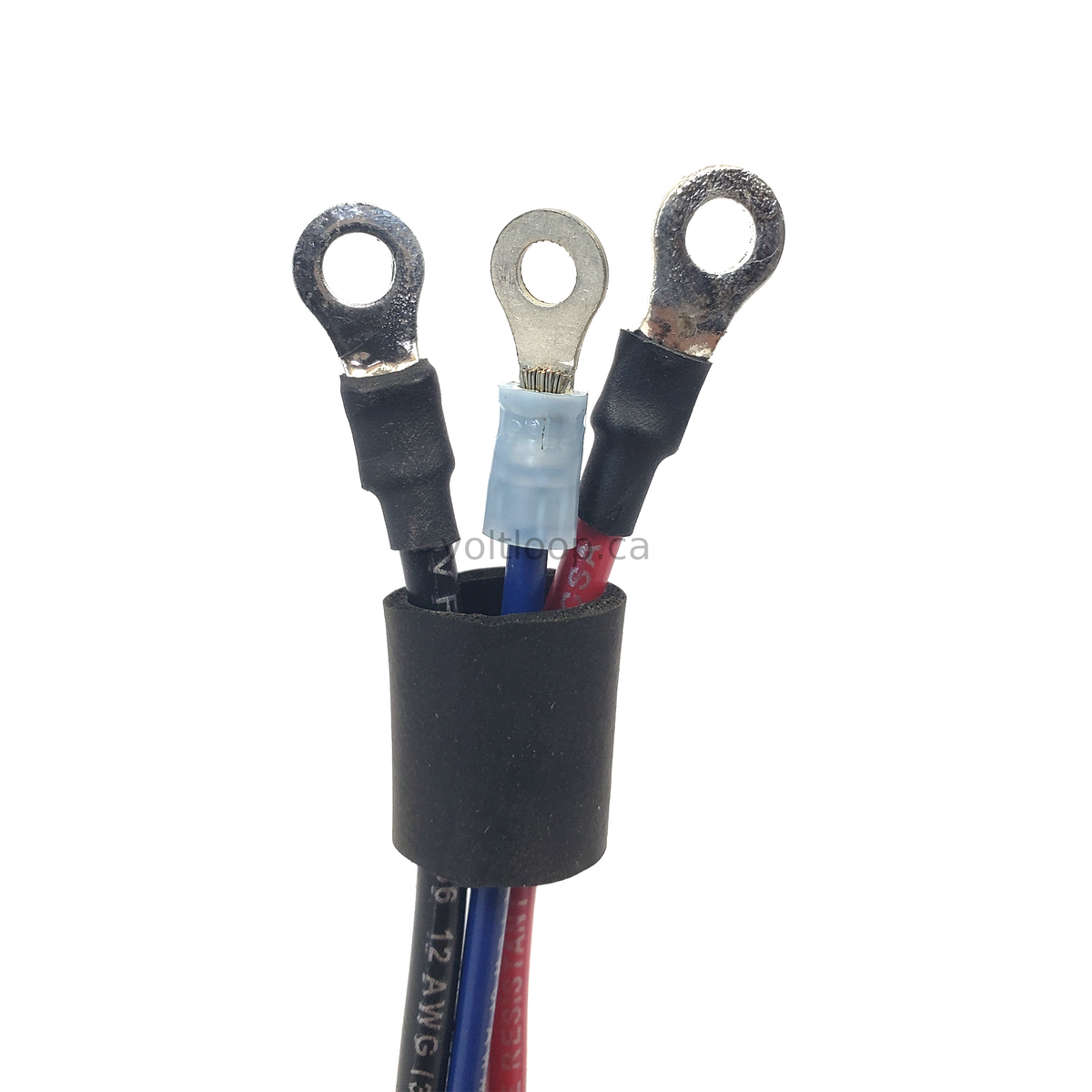 Lester Summit Series 2 1050W Charger & Ring Terminals – Voltloop ...