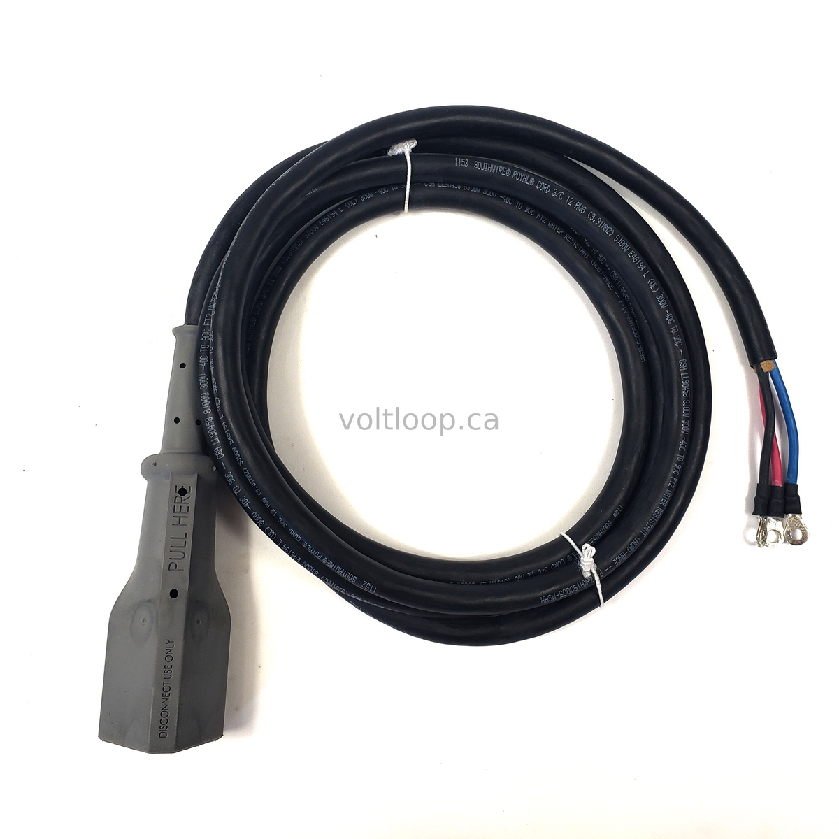 Lester Summit Series 2 1050W Charger & 48V EZGO RXV Plug – Voltloop ...