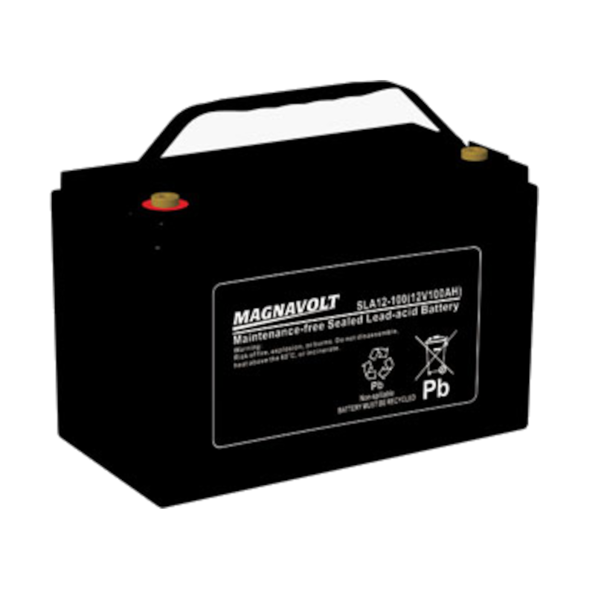 Magnavolt SLA12-100 12V 100 Ah Sealed Lead Acid Battery – Voltloop Canada
